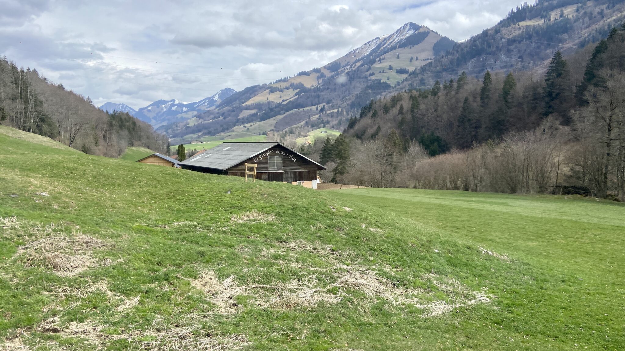 How To Ride the GoldenPass Express | Swiss Panoramic Train – Aplins in ...