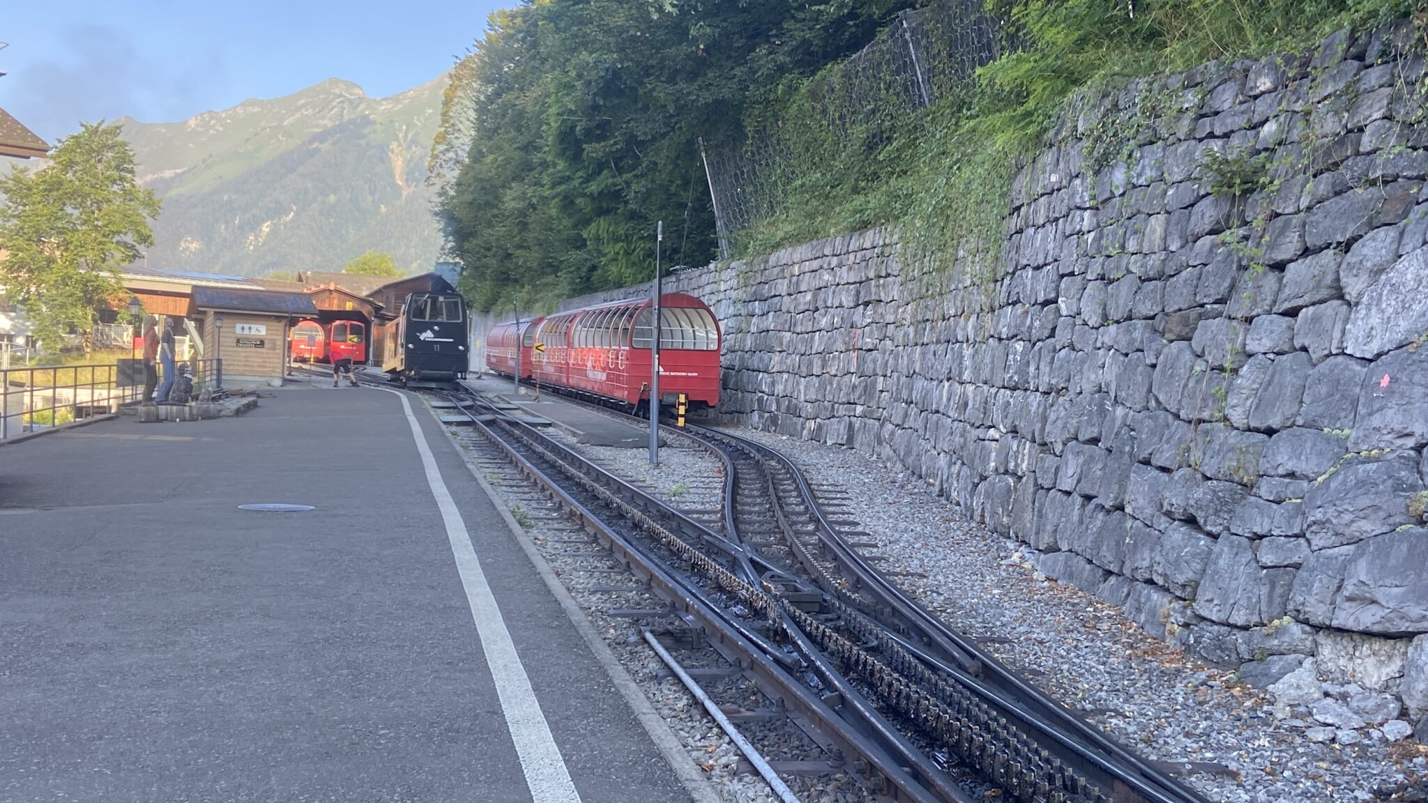 Brienzer Rothorn Steam Train in the Swiss Alps | Aplins in the Alps