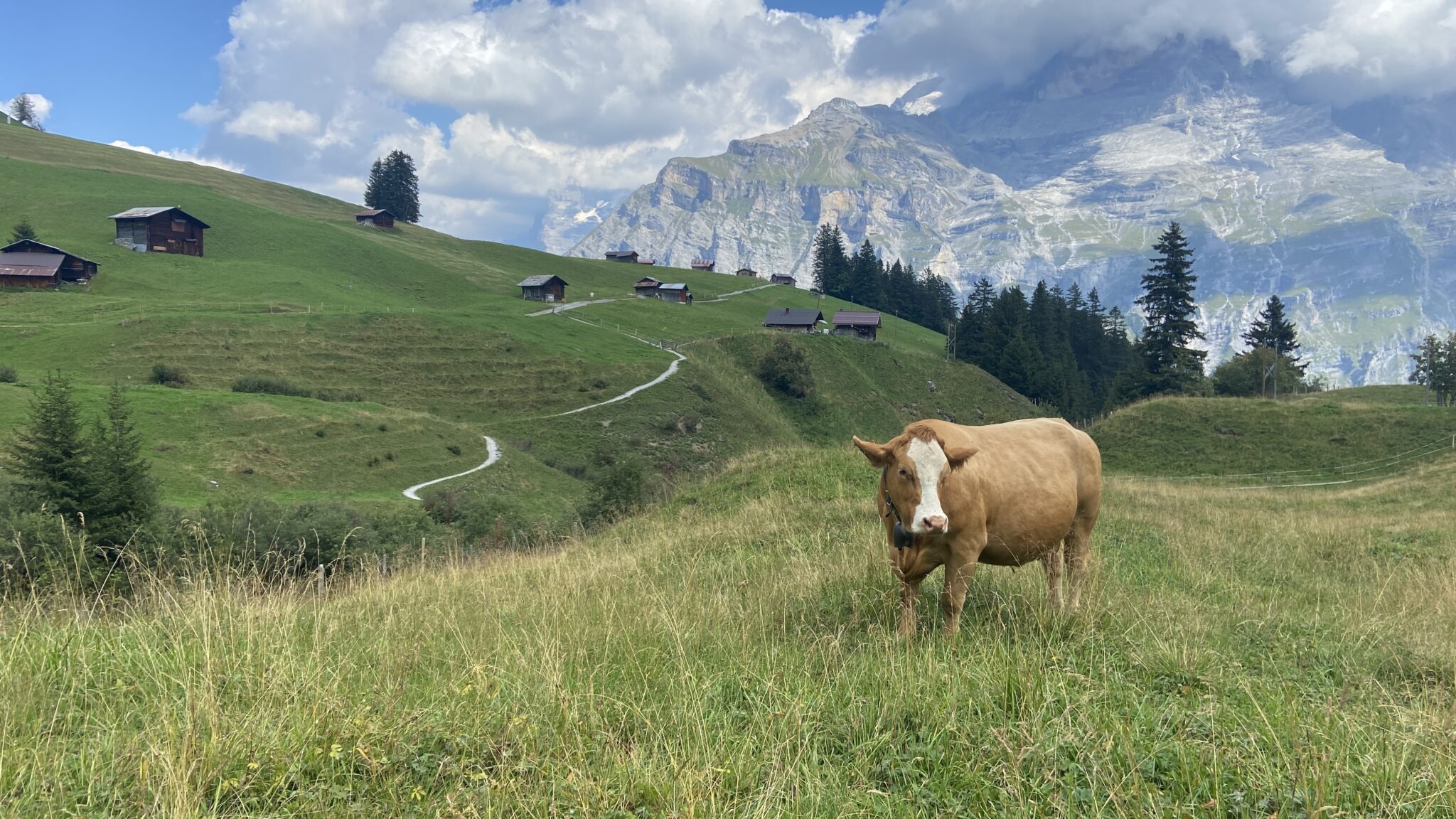 1 Week Itinerary in the Jungfrau Region | Interlaken, Grindelwald ...