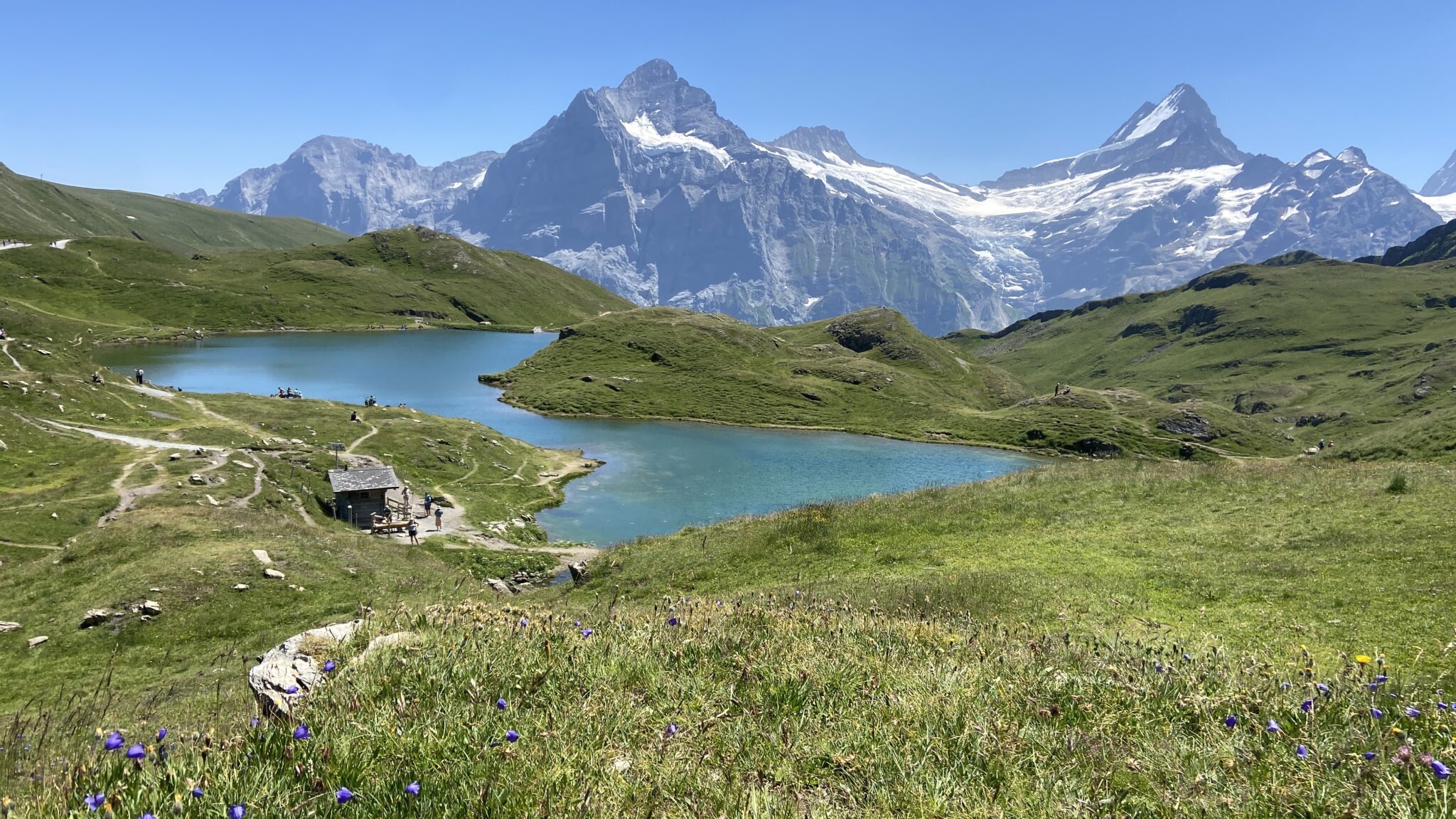 Ultimate Guide to Grindelwald First – Top of Adventure – Aplins in the Alps